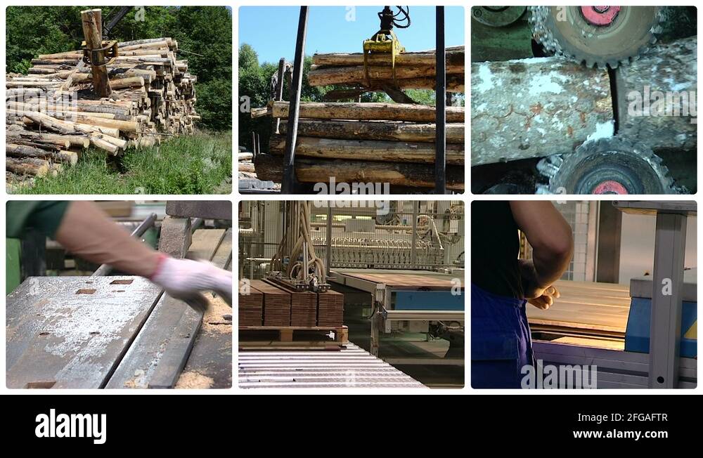 Split tree tree truck Stock Videos & Footage - HD and 4K Video Clips ...