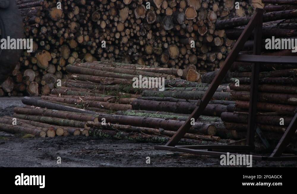 Store timber Stock Videos & Footage - HD and 4K Video Clips - Alamy