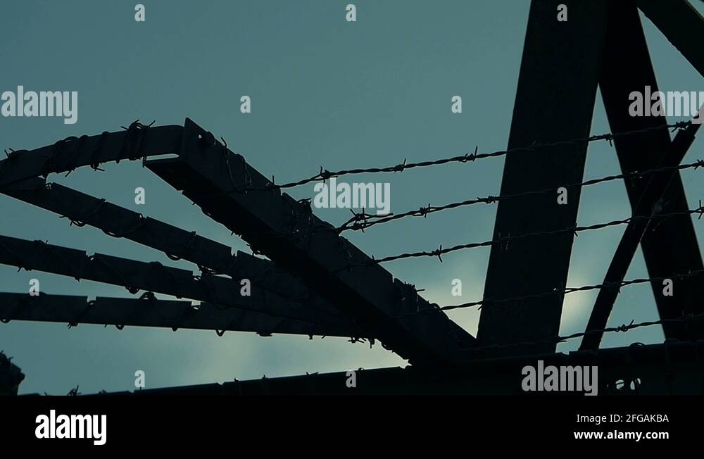 Tyranny oppression Stock Videos & Footage - HD and 4K Video Clips - Alamy