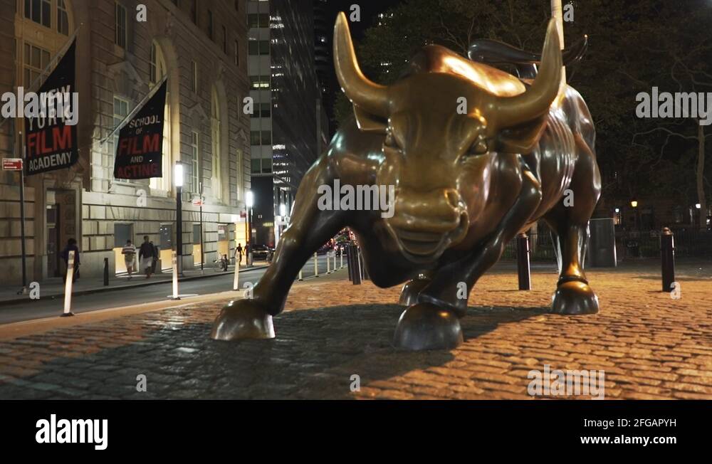 New york bull Stock Videos & Footage - HD and 4K Video Clips - Alamy
