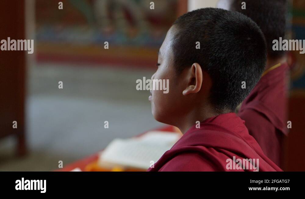 Young Tibetan buddhist monks chanting the puja ceremony in rural Nepal ...