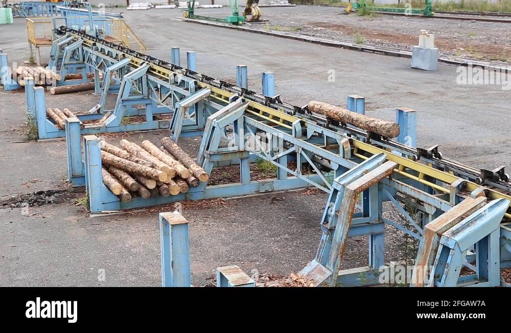 Automatic sorting logs diameter at the sawmill Stock Video Footage - Alamy