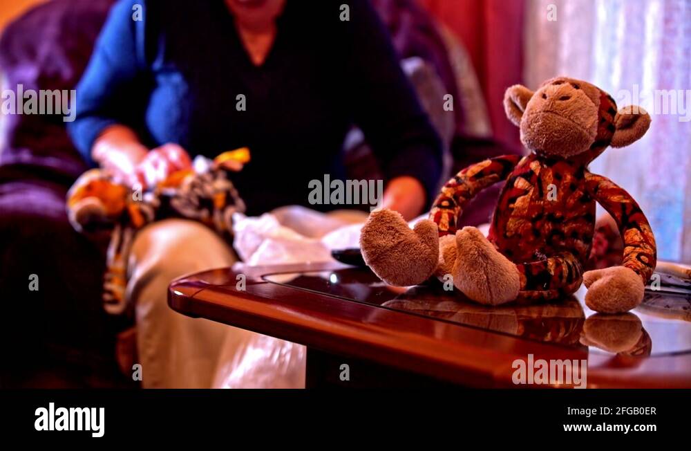 Monkey table Stock Videos & Footage - HD and 4K Video Clips - Alamy