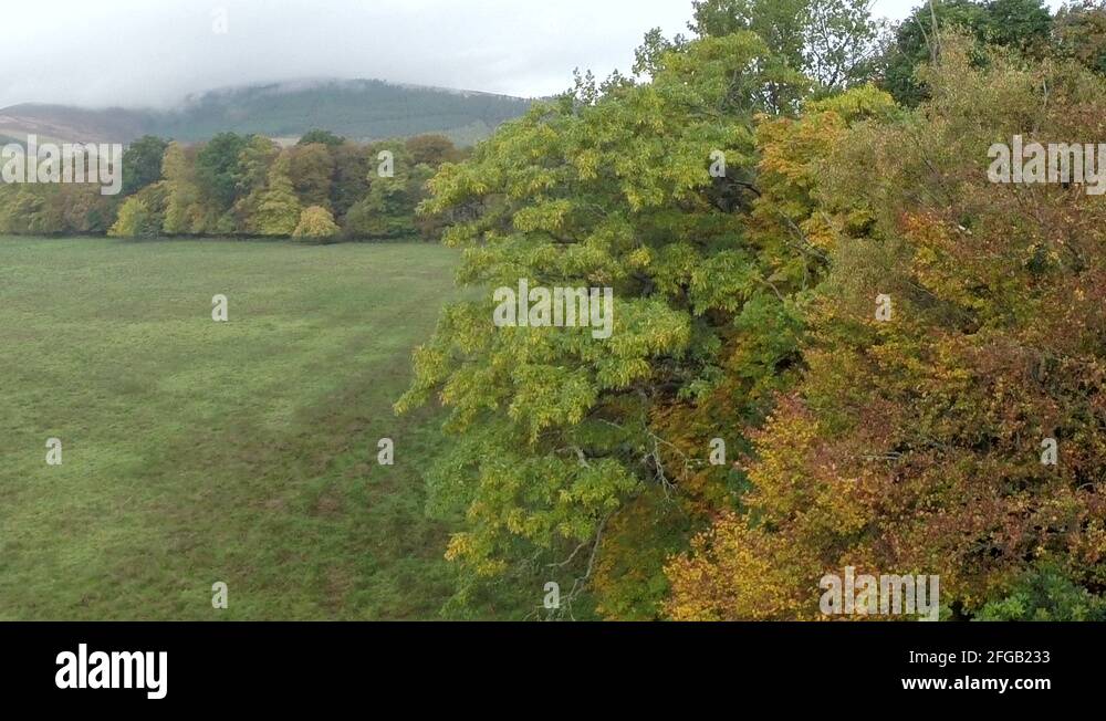 Hiking scottish borders Stock Videos & Footage - HD and 4K Video Clips ...