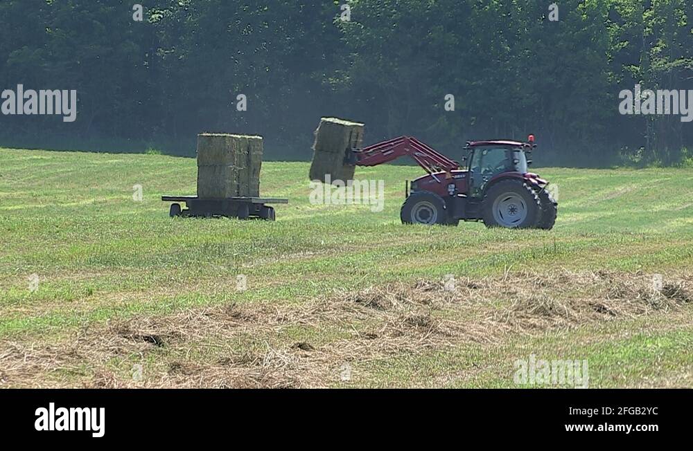 Farmers cutting and harvesting hay before it rains on family farm Stock ...