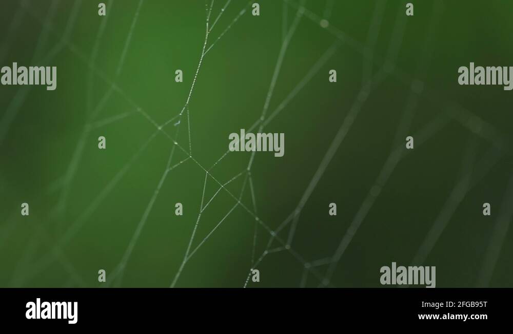 Web rack Stock Videos & Footage - HD and 4K Video Clips - Alamy