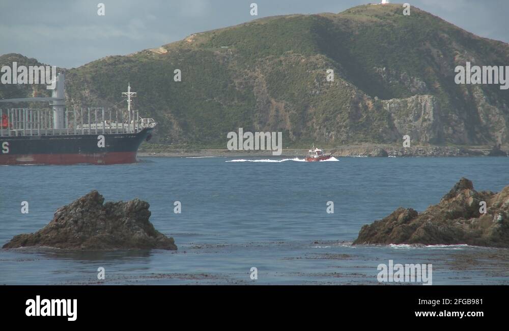 Log port 3 Stock Videos & Footage - HD and 4K Video Clips - Alamy