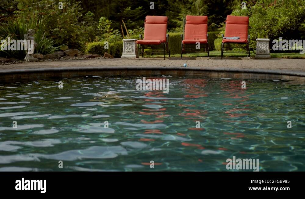 An older woman emerges from a pool holding a plastic toy Stock Video ...