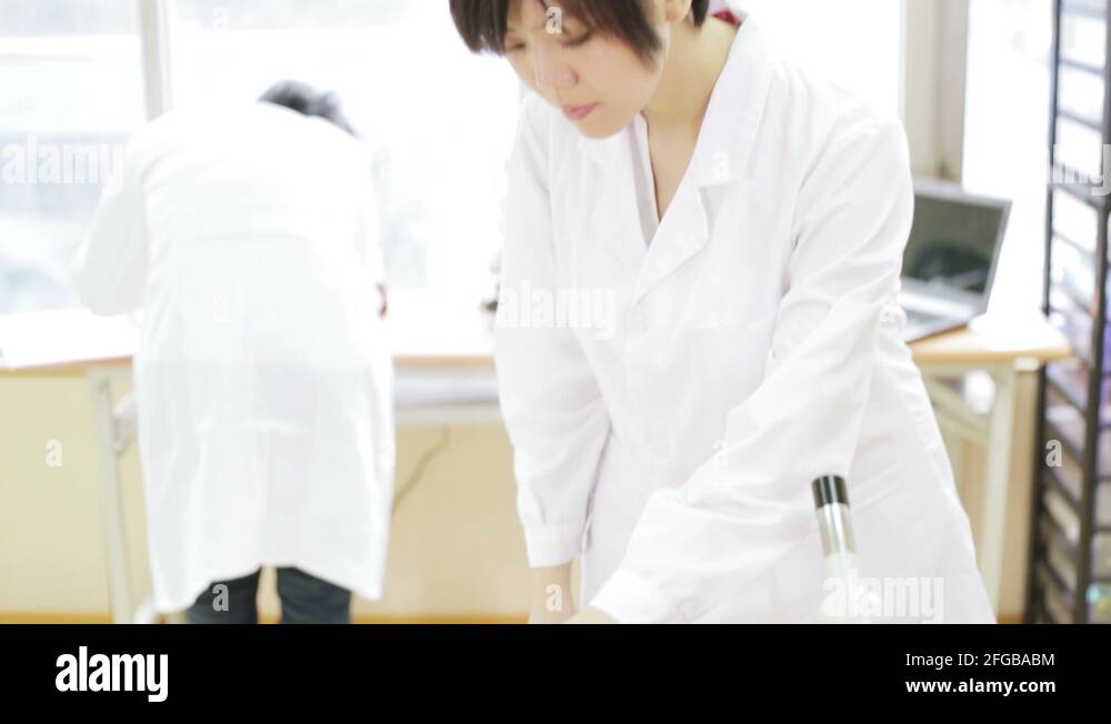 Asian lab tech Stock Videos & Footage - HD and 4K Video Clips - Alamy
