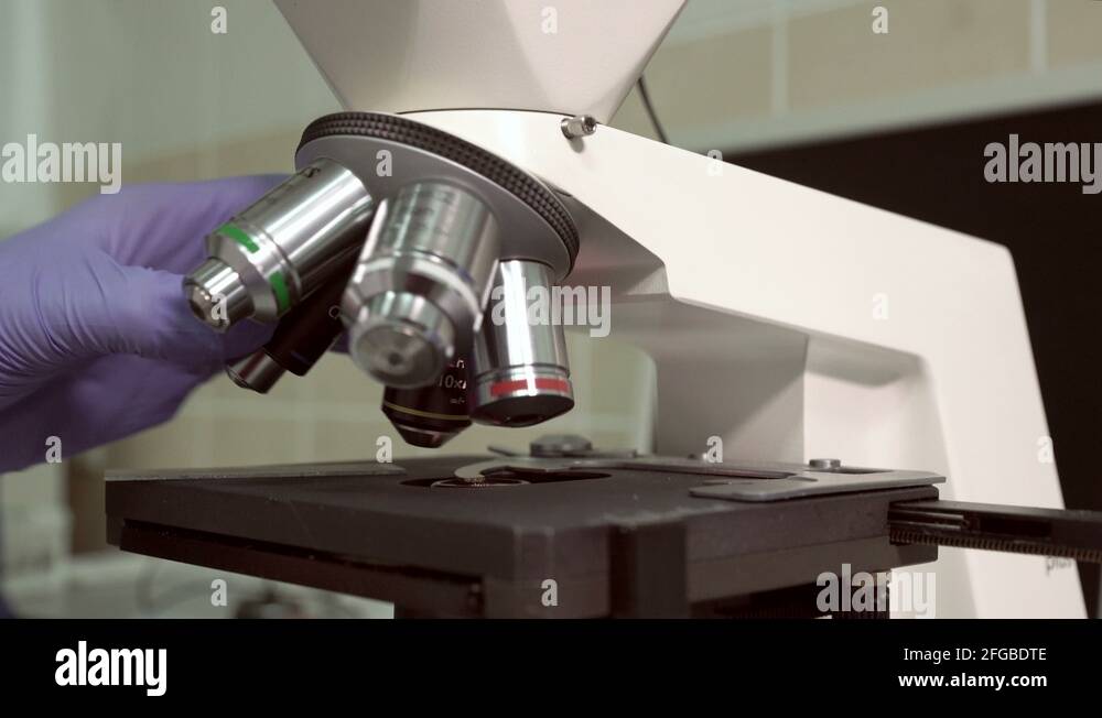 Microscope blood Stock Videos & Footage - HD and 4K Video Clips - Alamy