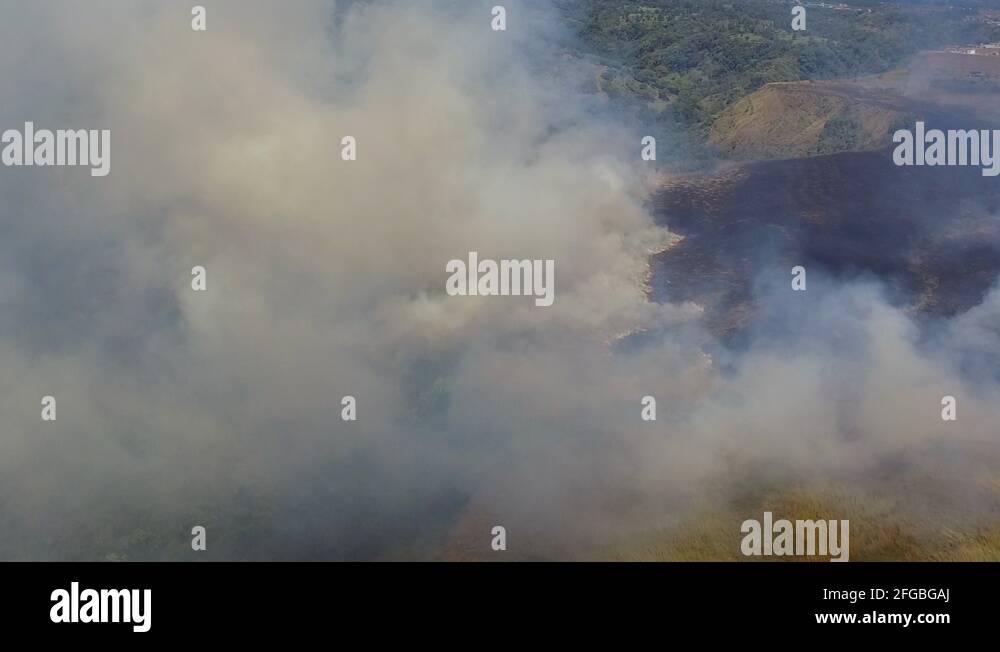 Forest fire panama Stock Videos & Footage - HD and 4K Video Clips - Alamy