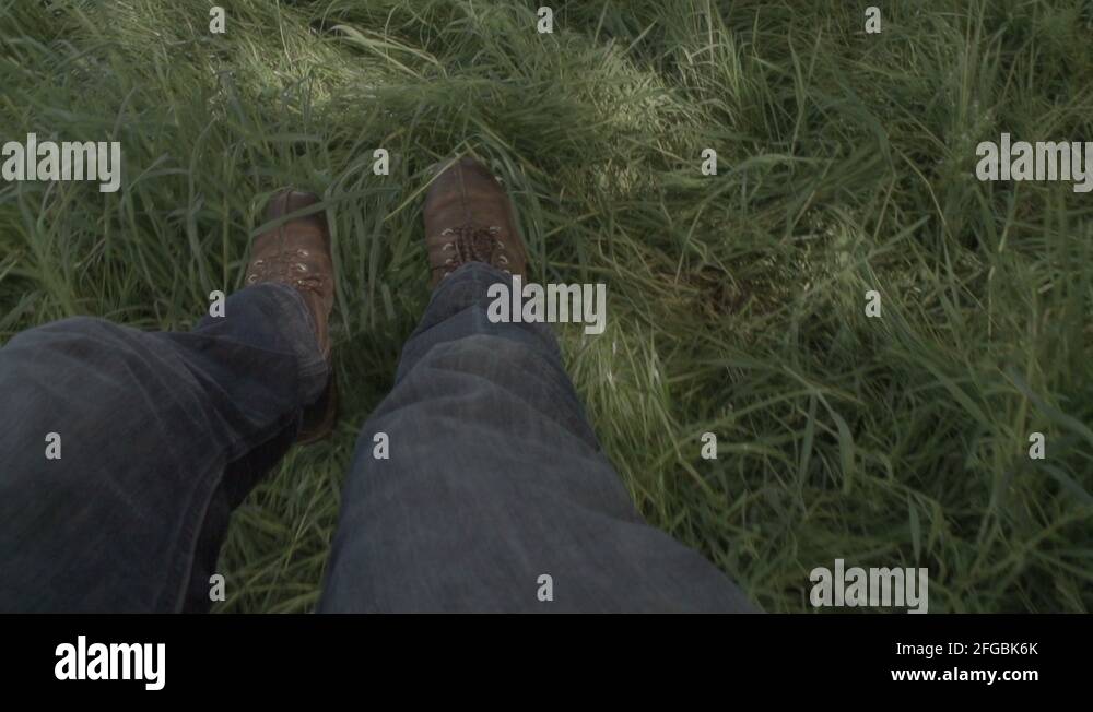 Little Girl On A Rope Swing In Slow Motion Stock Video Footage - Alamy
