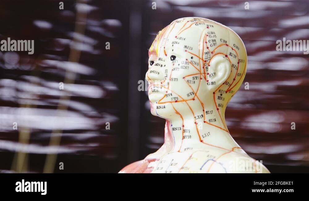 Meridians meridians Stock Videos & Footage - HD and 4K Video Clips - Alamy