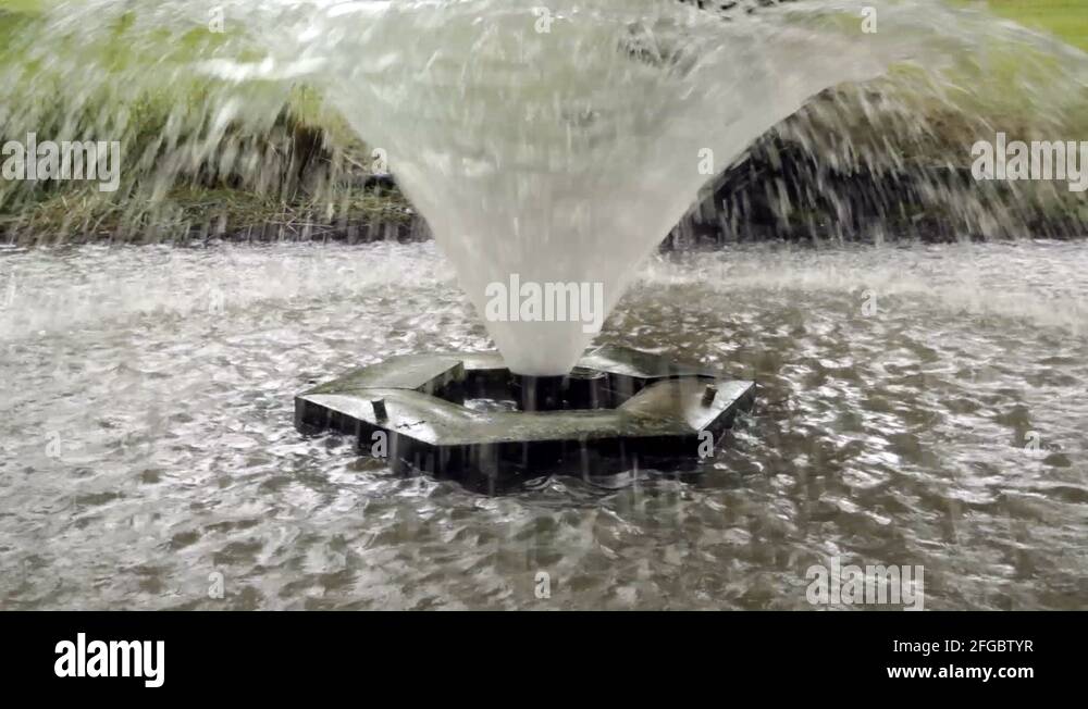 Outdoors tree water transportation Stock Videos & Footage - HD and 4K ...