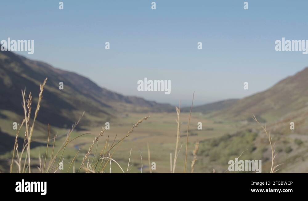 Welsh environment Stock Videos & Footage - HD and 4K Video Clips - Alamy