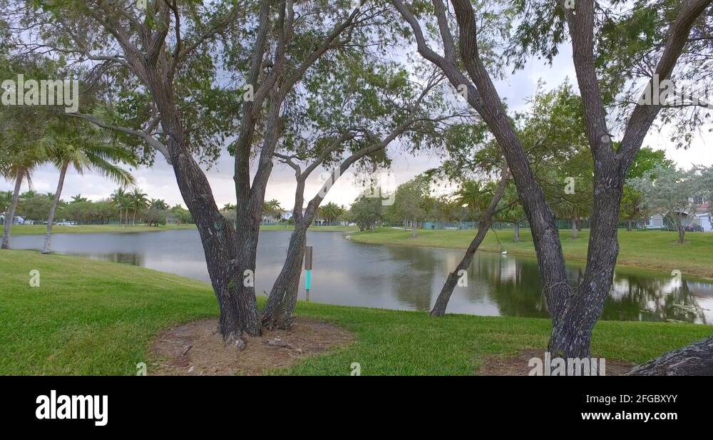 Nature park Stock Videos & Footage - HD and 4K Video Clips - Alamy