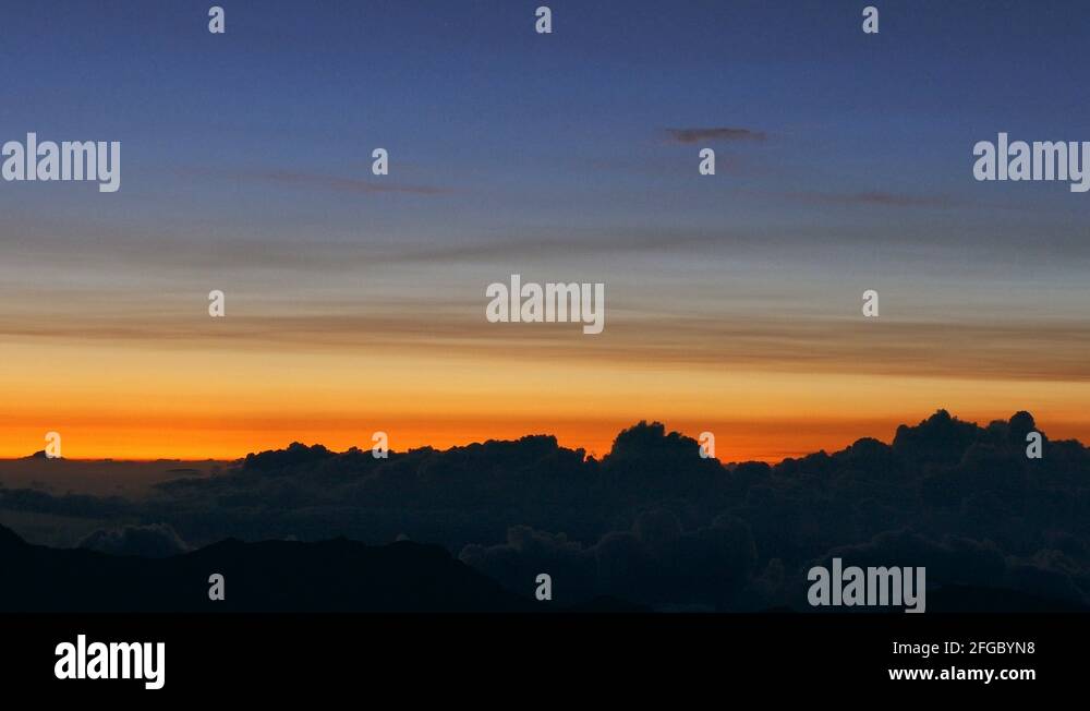 Fluffy nature Stock Videos & Footage - HD and 4K Video Clips - Alamy