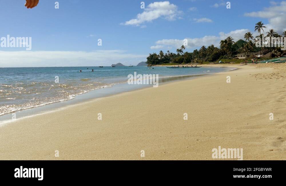 Man walking beach Stock Videos & Footage - HD and 4K Video Clips - Alamy
