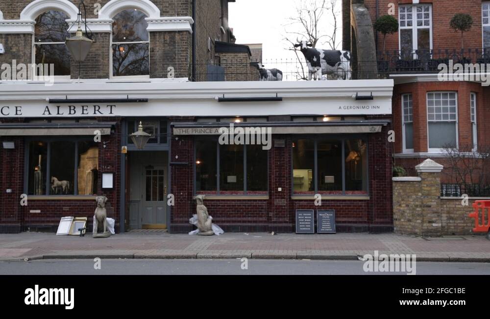 Cow on the roof Stock Videos & Footage - HD and 4K Video Clips - Alamy