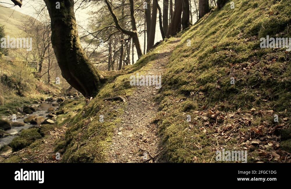 Ancient footpath Stock Videos & Footage - HD and 4K Video Clips - Alamy