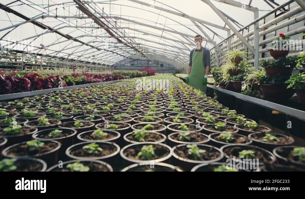 Commercial pollination Stock Videos & Footage - HD and 4K Video Clips ...