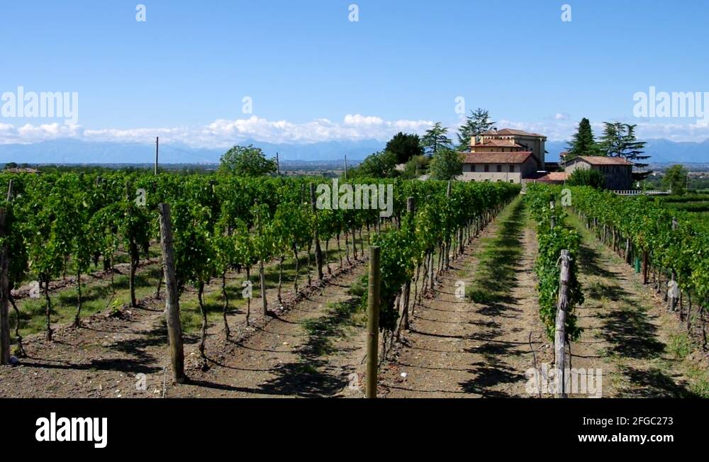 Friuli venezia giulia winery Stock Videos & Footage - HD and 4K Video ...
