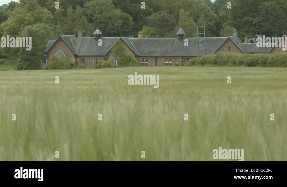 Crop borders Stock Videos & Footage - HD and 4K Video Clips - Alamy