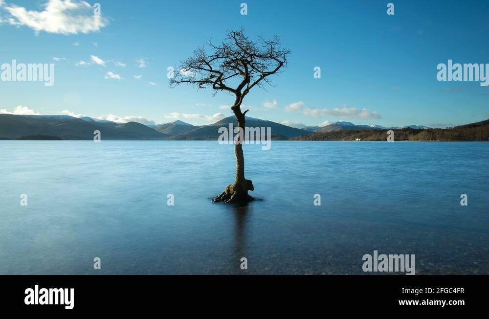 Loch an tree Stock Videos & Footage - HD and 4K Video Clips - Alamy