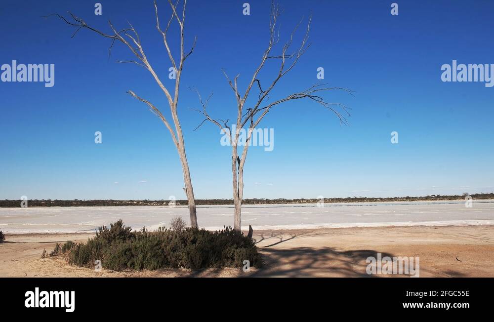 Soil salinity australia Stock Videos & Footage - HD and 4K Video Clips ...