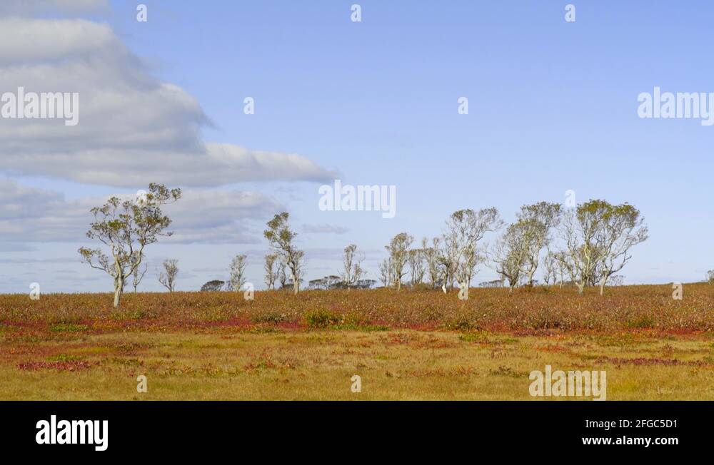 Conservation land Stock Videos & Footage - HD and 4K Video Clips - Alamy