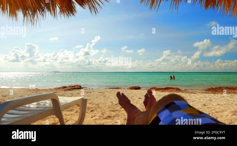 Warm and sunny weather Stock Videos & Footage - HD and 4K Video Clips ...