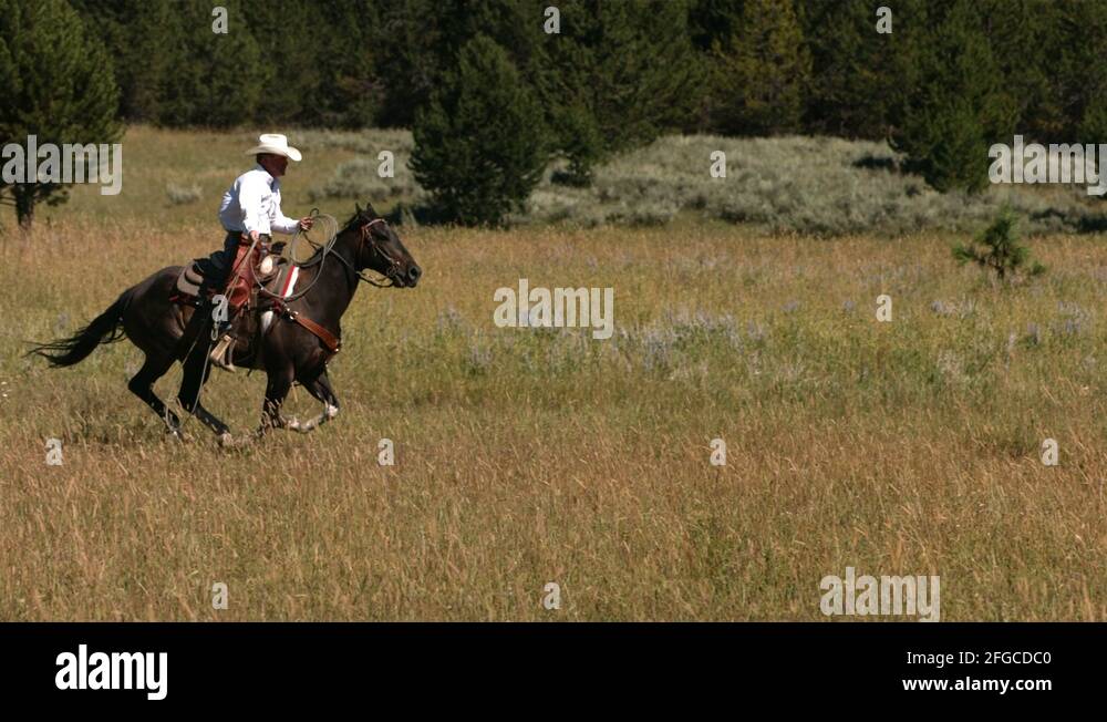 Cowboy on galloping horse Stock Videos & Footage - HD and 4K Video ...