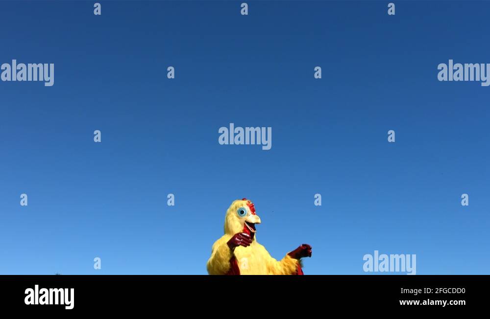 Chicken flapping wings Stock Videos & Footage - HD and 4K Video Clips ...