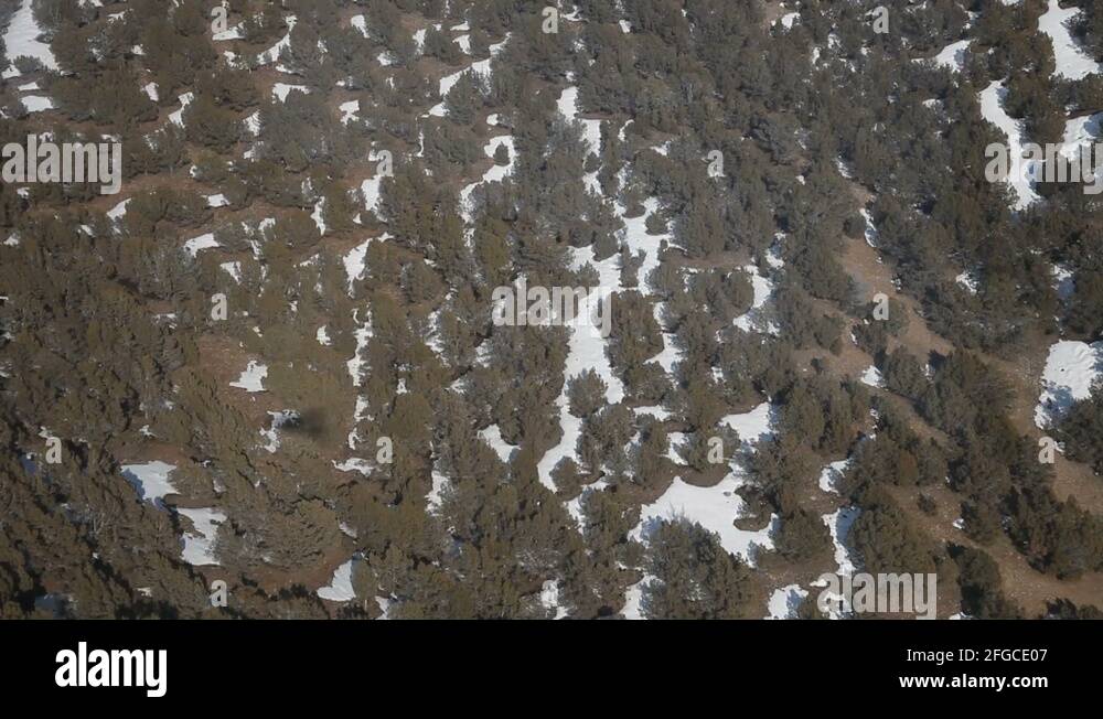 Aircraft shadow aerial Stock Videos & Footage - HD and 4K Video Clips ...