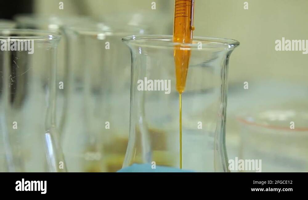scientist put liquid droplets from graduated pipette in Erlenmeyer ...