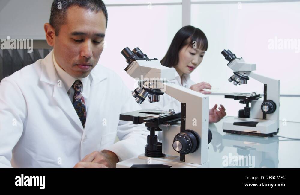 Scientists look Stock Videos & Footage - HD and 4K Video Clips - Alamy