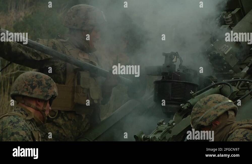 Cluster shells Stock Videos & Footage - HD and 4K Video Clips - Alamy