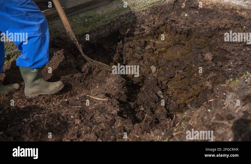 Manure for the garden Stock Videos & Footage - HD and 4K Video Clips ...