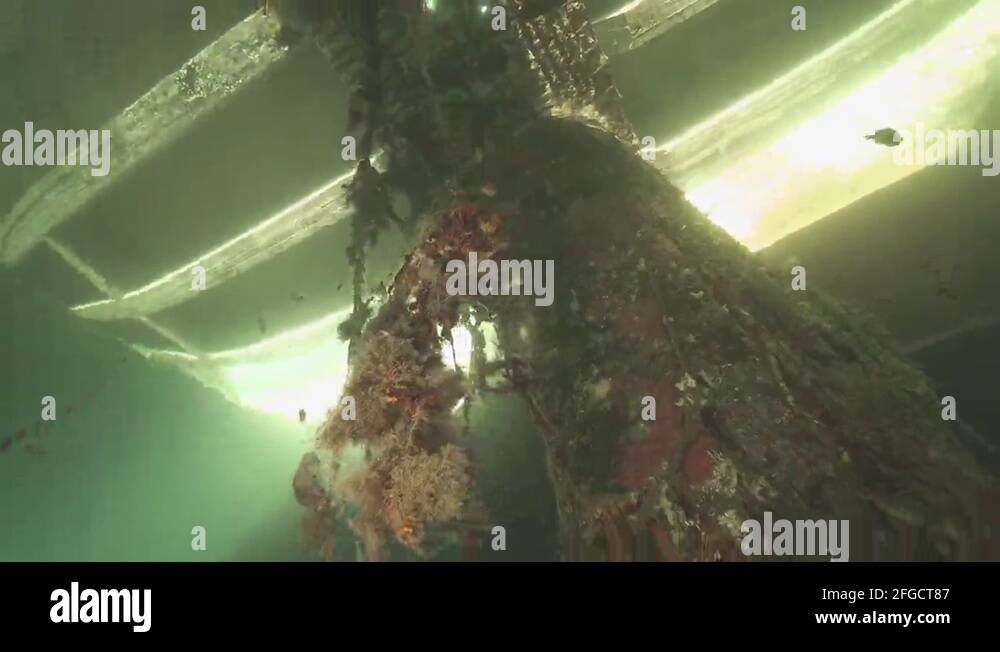 Water columns Stock Videos & Footage - HD and 4K Video Clips - Alamy