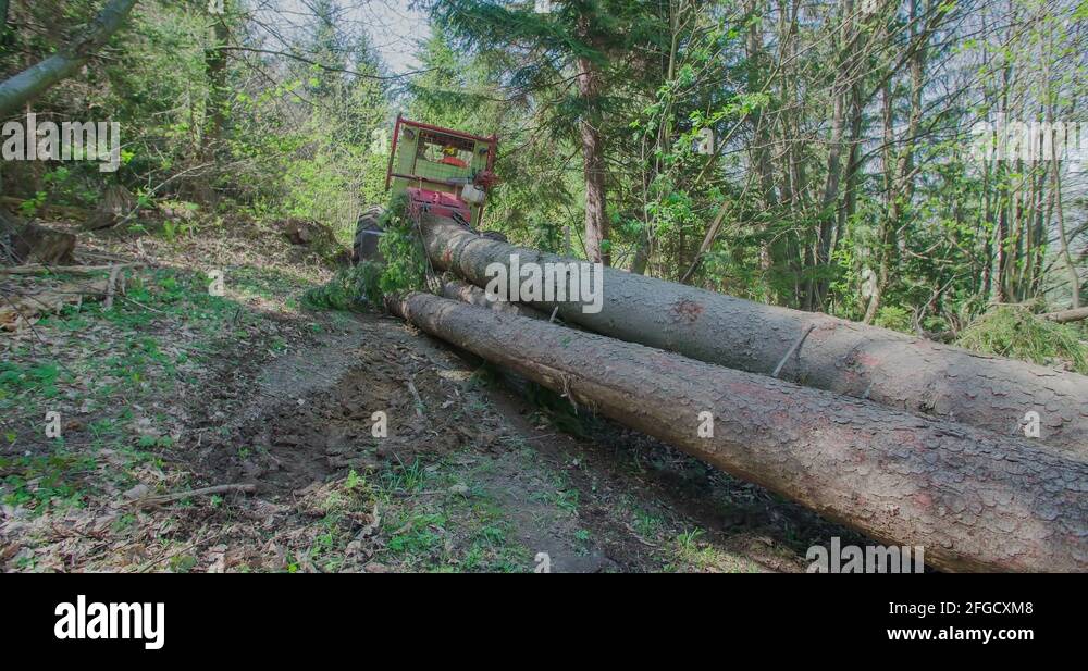Dragging a log Stock Videos & Footage - HD and 4K Video Clips - Alamy