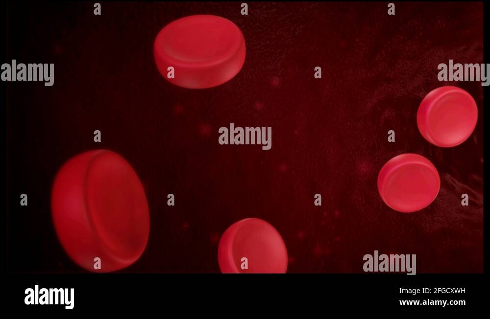 Blood Cells Loop Animation Stock Video Footage - Alamy