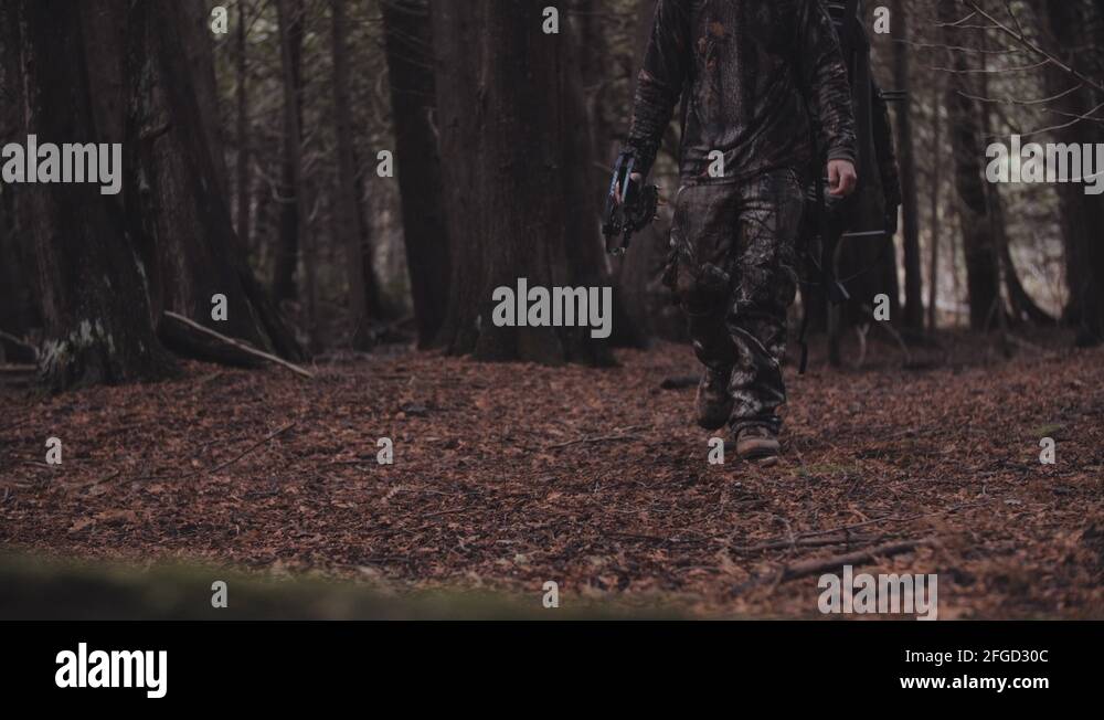 Sustainable hunting Stock Videos & Footage - HD and 4K Video Clips - Alamy