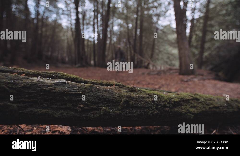 Log bow Stock Videos & Footage - HD and 4K Video Clips - Alamy