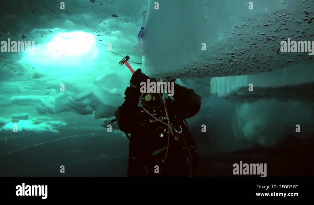 Diver under the ice at the North Pole underwater sampled ice with a ...