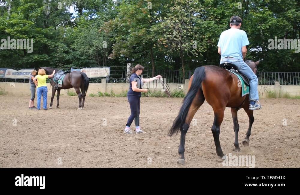 Man on horse and woman helps to him in Stable of horse Stock Video ...