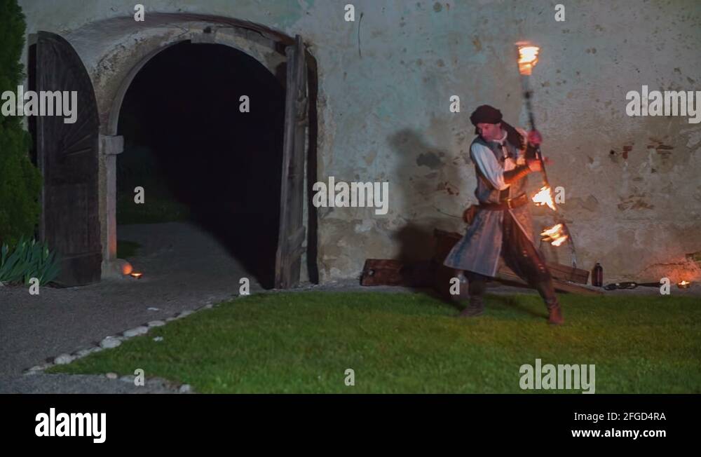 Catching a stick Stock Videos & Footage - HD and 4K Video Clips - Alamy
