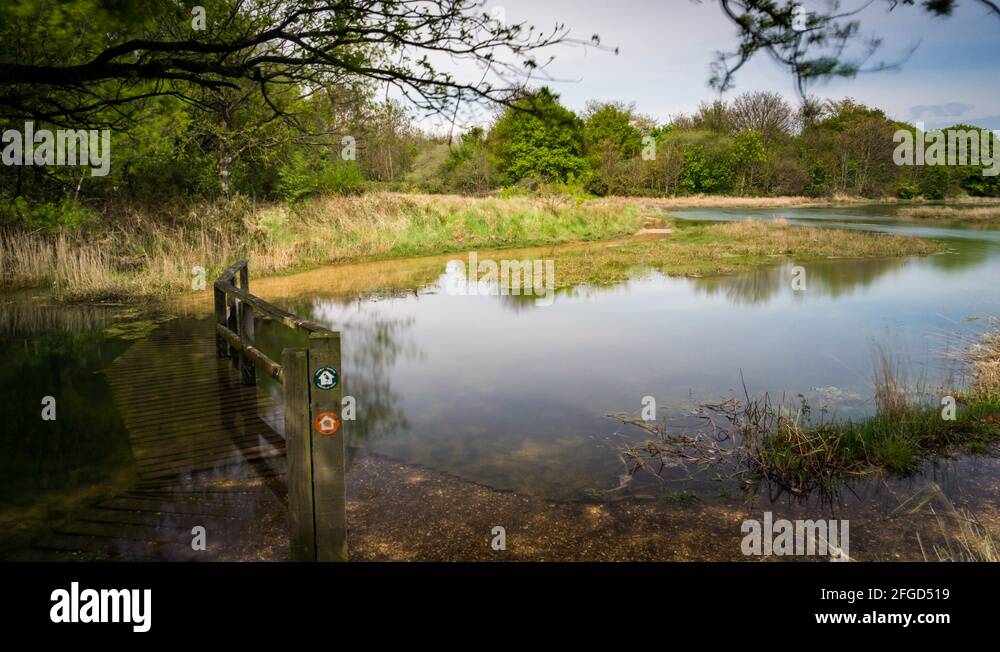 River hamble bridge Stock Videos & Footage - HD and 4K Video Clips - Alamy