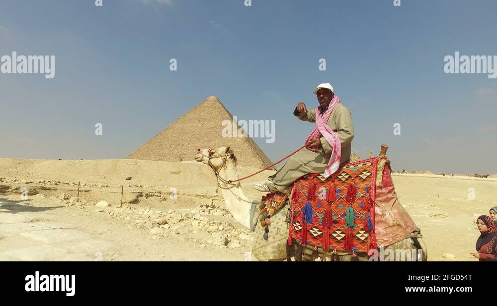 Ancient egyptian pharaoh horse Stock Videos & Footage - HD and 4K Video ...