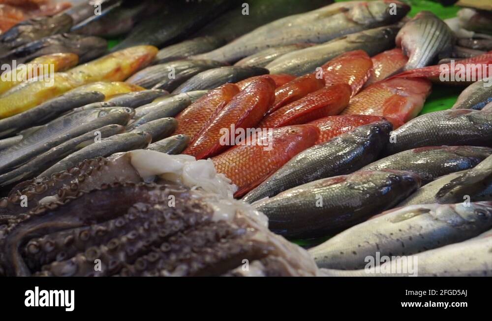 Fishes and seafood Stock Videos & Footage - HD and 4K Video Clips - Alamy
