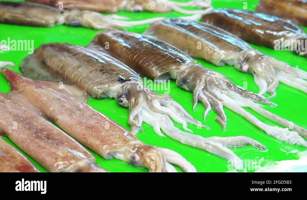 Fresh Raw Squid and cuttlefish in Fish Market Stock Video Footage - Alamy